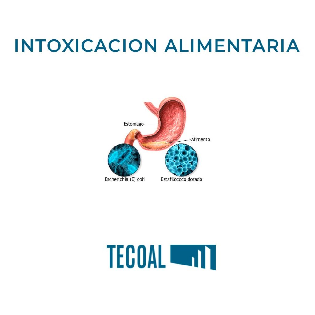 Intoxicación Alimentaria: Causas, síntomas y medidas preventivas